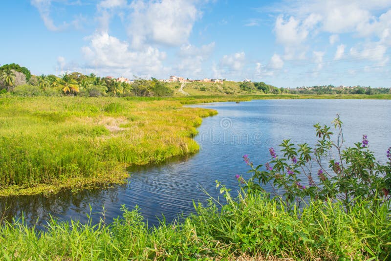 A View of Capivara River in Arembepe, Bahia - Brazil Stock Photo ...