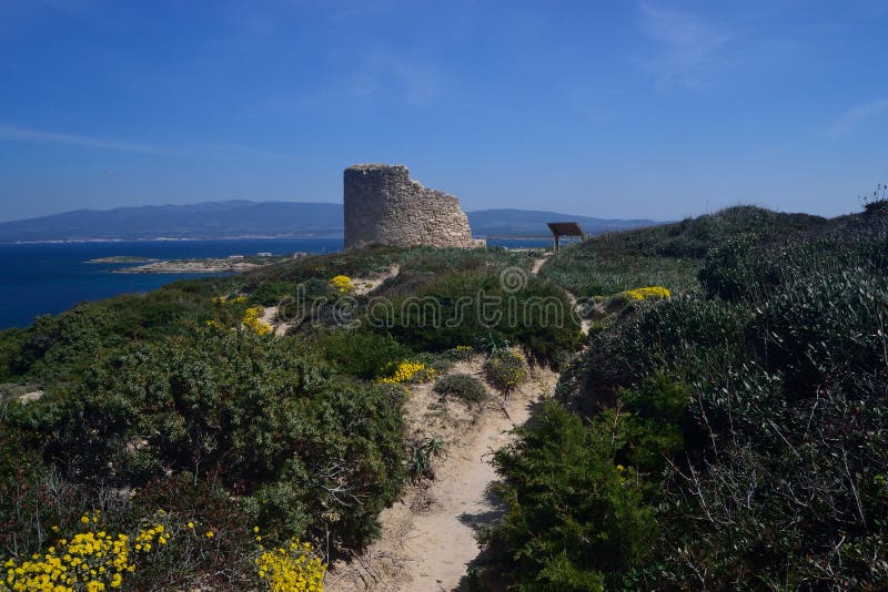 View of Capo Mannu coast stock image. Image of sand - 177827747