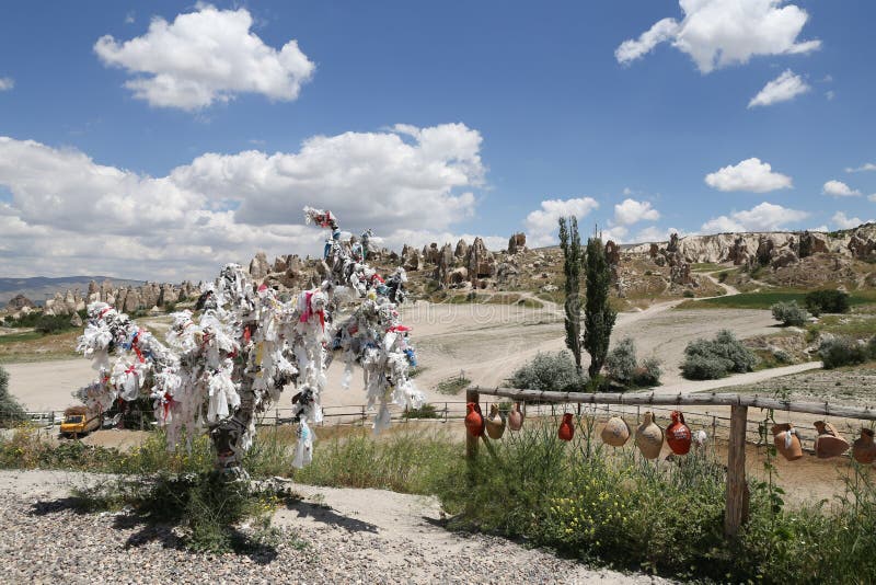 Treein Turkey Stock Photos - Free & Royalty-Free Stock Photos from ...