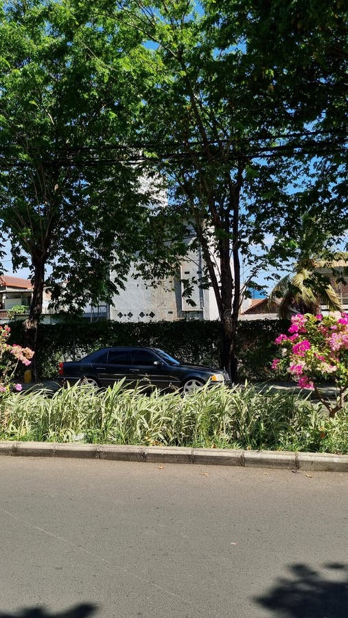 View of a Car Parked on the Side of a Road Stock Image - Image of yard ...