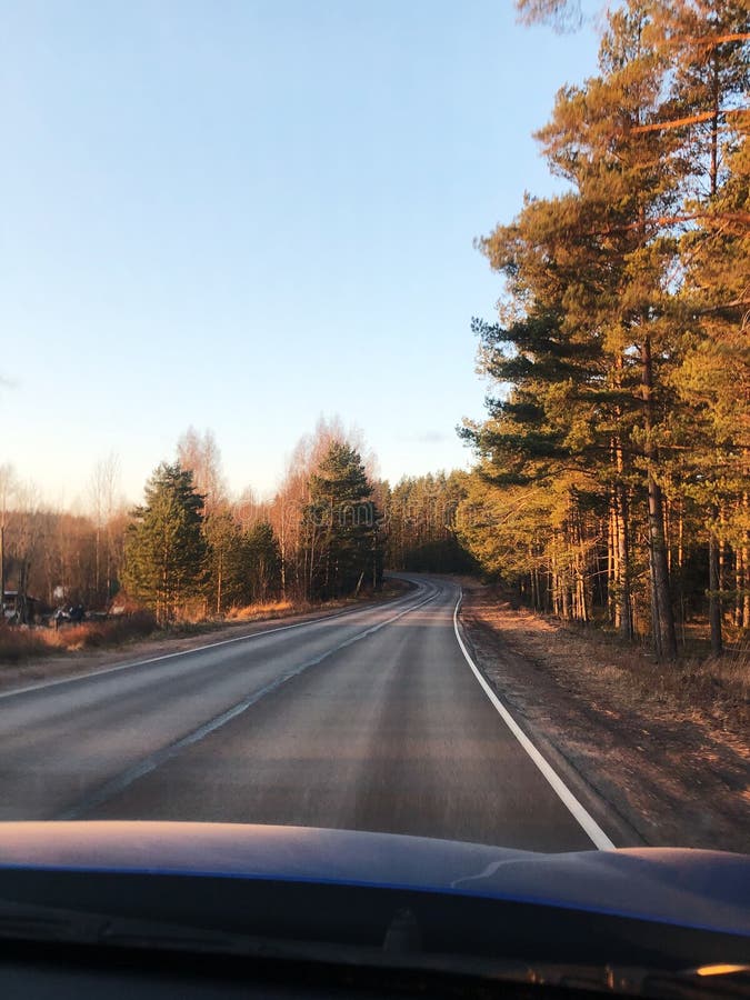 Beautiful View from the Car Window on the Road and Trees Stock Image ...