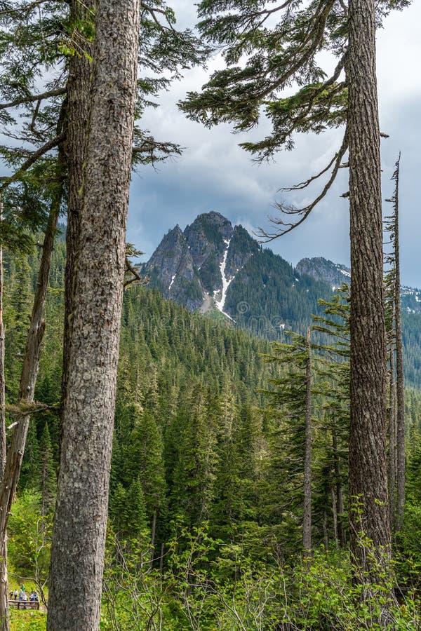 Cascade Peak and Trees stock image. Image of pacific - 282408503