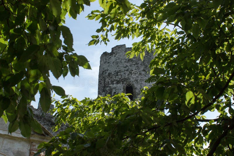 View of Castle Tower Over Branches of Trees 2 Stock Photo - Image of ...