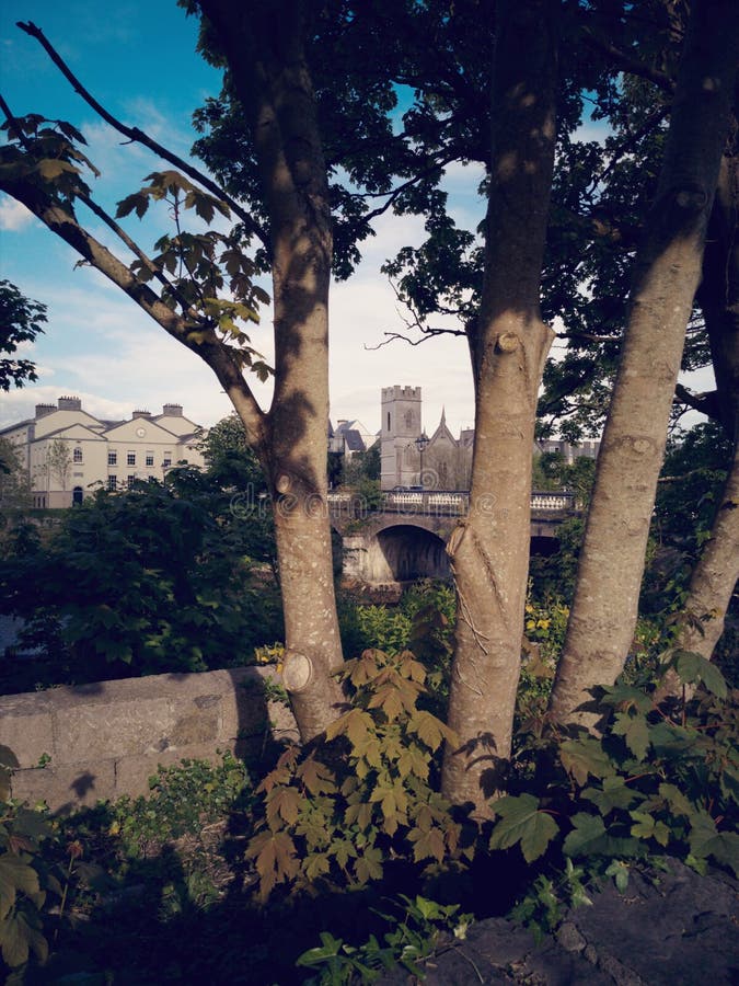 View at Castle Tower Trough the Trees Stock Photo - Image of trees ...