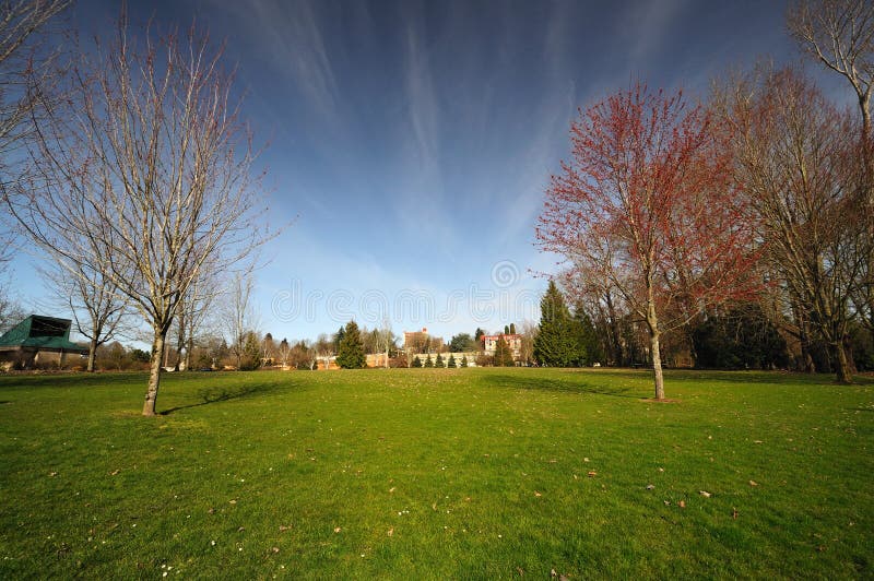 A View of the Cathedral Park Stock Photo - Image of reflections, city ...