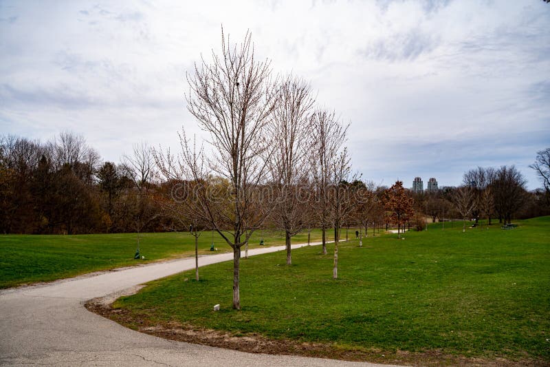 View of the Cedarvale Park in Toronto Stock Image - Image of name ...