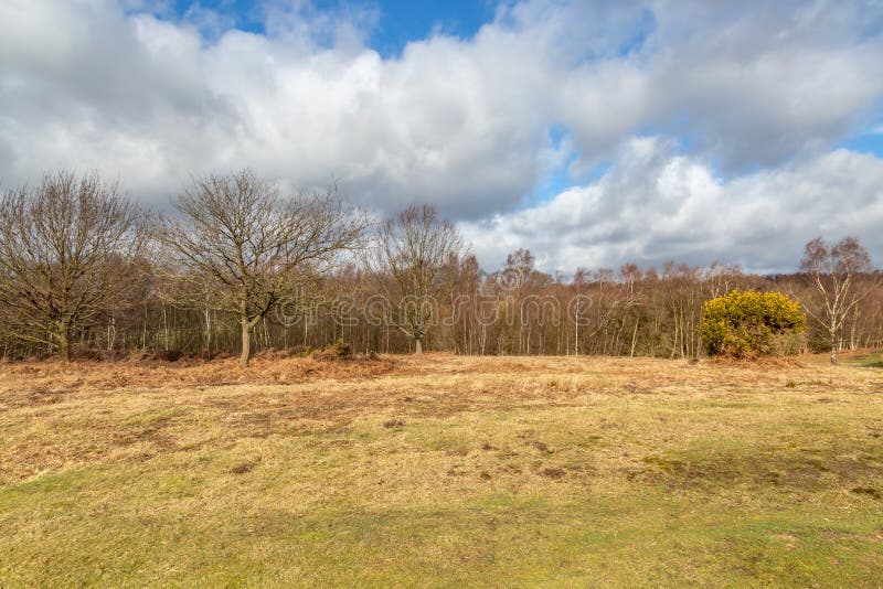 Crawley Town Centre. West Sussex Editorial Photo - Image of mall ...