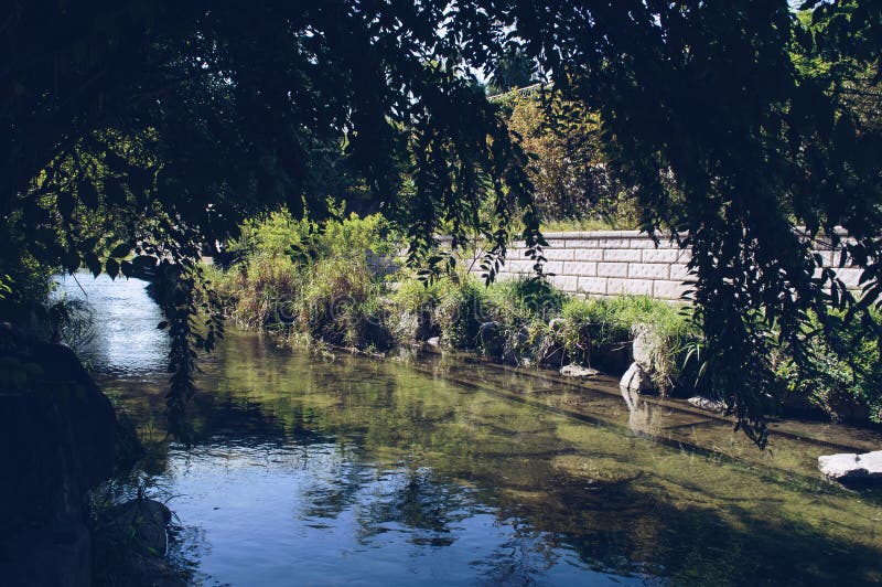 Cheonggyecheon Stream through Tree Branches Stock Image - Image of ...