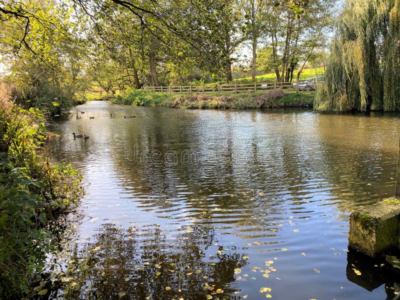 A View of the Cheshire Countryside Stock Image - Image of stretton ...