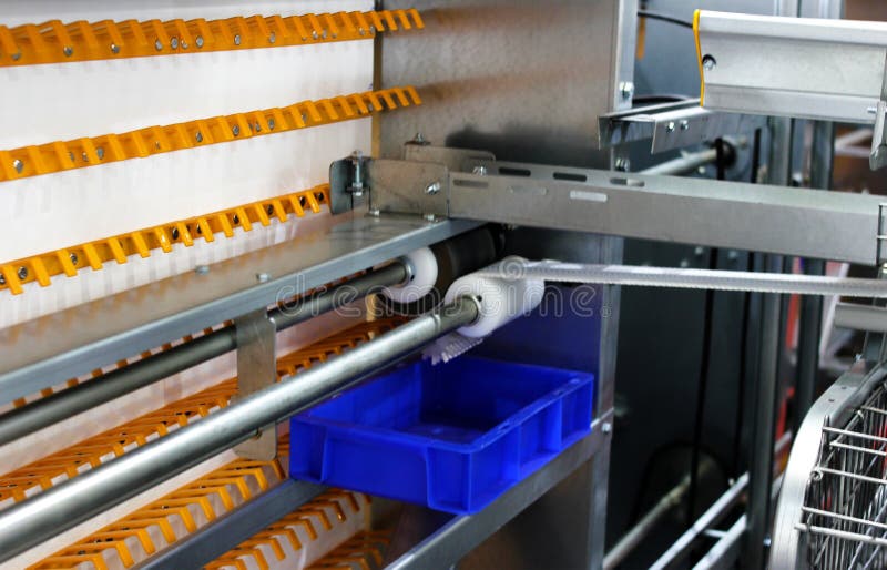 View of Chicken Automated Cage Farming Egg Processing Equipment Stock ...