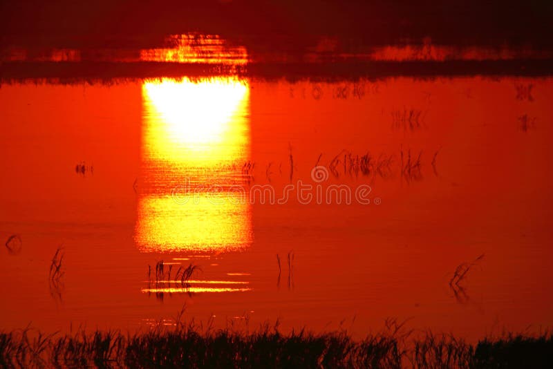 REFLECTION of SETTING SUN on the CHOBE RIVER Stock Image - Image of ...