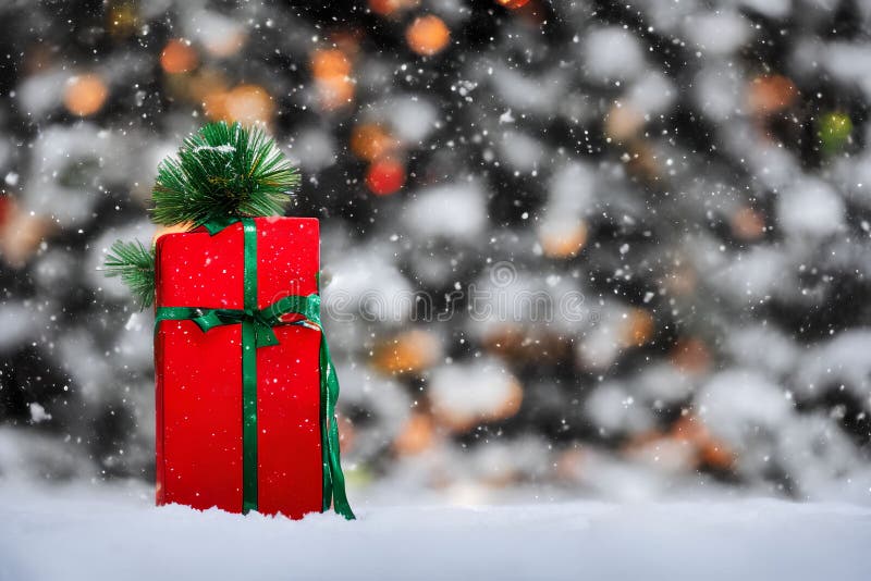 View of the Christmas Present in a Beautiful Packaging in the Snow ...