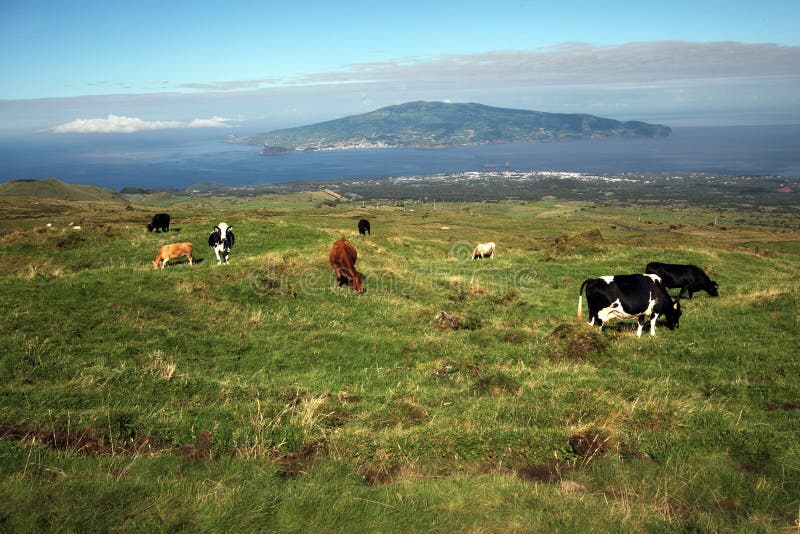 View of the City, the Harbor and the Opposite Island in the Atlantic ...