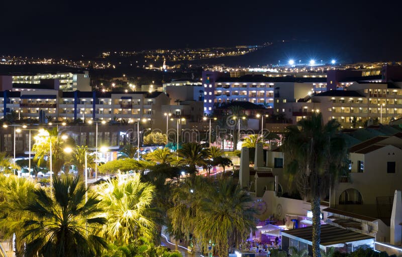 View of the City at Night with Palm Trees Stock Photo - Image of scene ...
