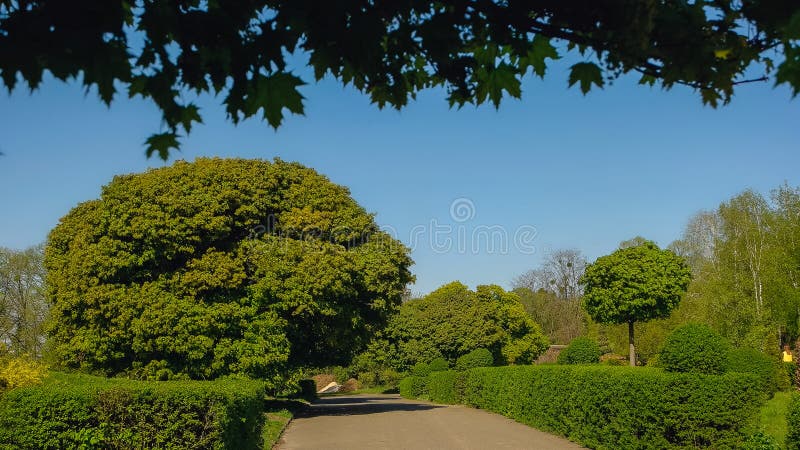 View on City Park in Spring Day. Stock Photo - Image of park, adult ...