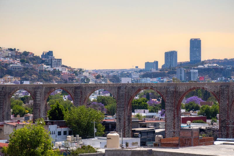 View of the City of Queretaro Mexico Aqueduct with Jacaranda Tree ...