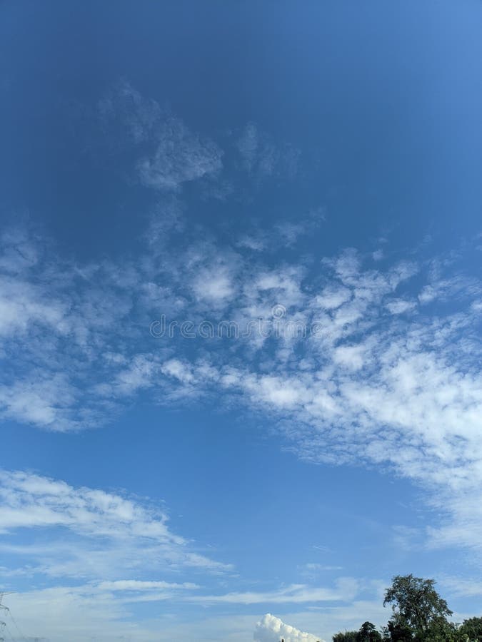 A View of a Clear Blue Sky in a Rice Field in June Stock Image - Image ...