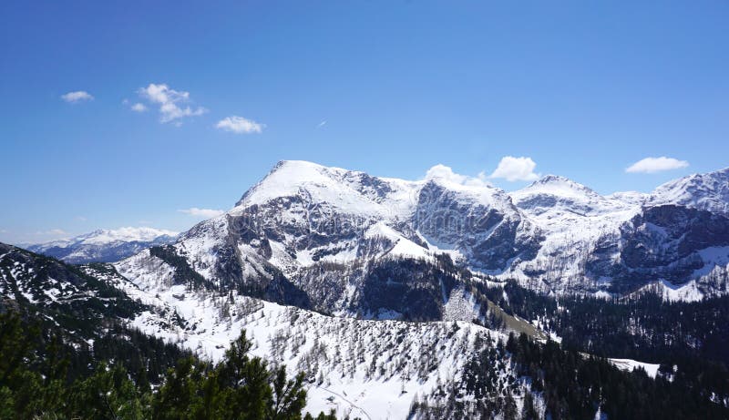 View from the Cliff of the Mount Jenner Stock Image - Image of forest ...