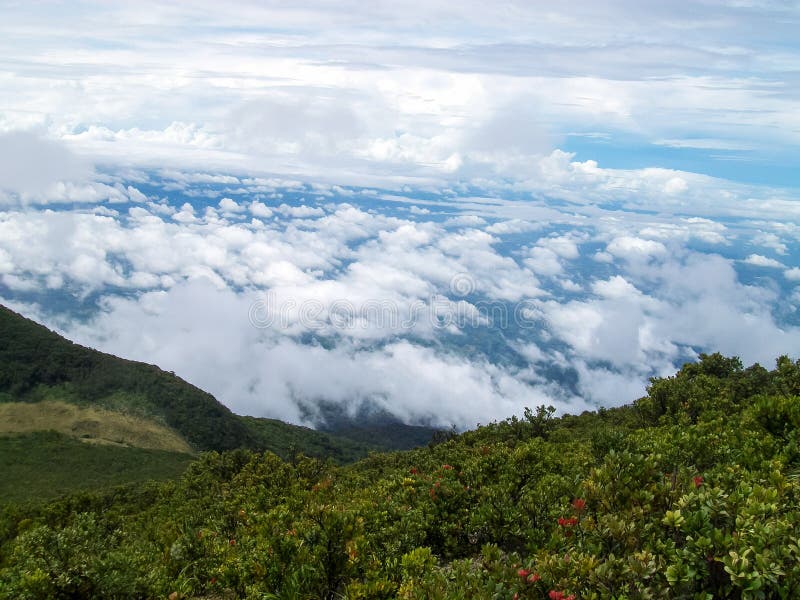 View of Pangrango Mountain, Bogor, West Java Stock Image - Image of ...