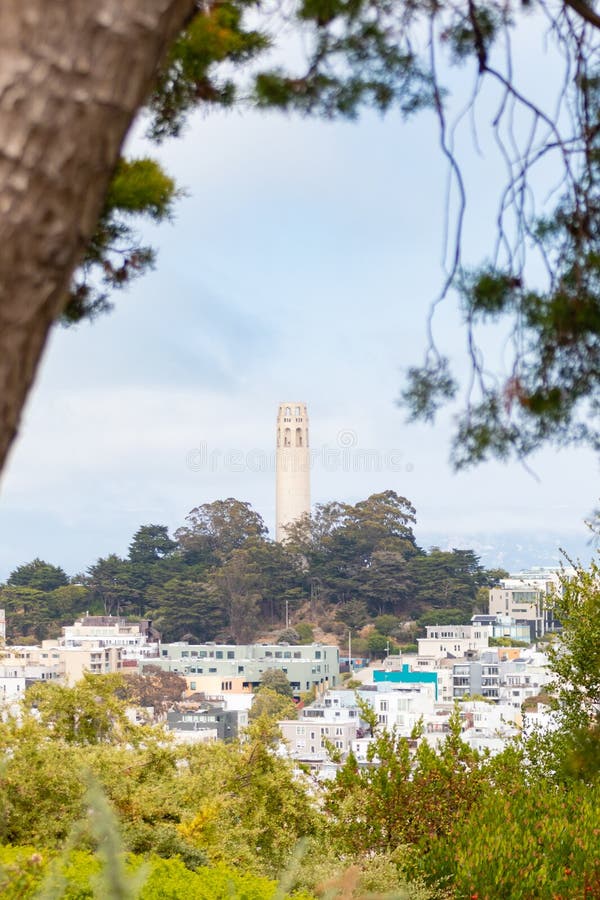 View of Coit Tower in San Francisco Stock Photo - Image of urban, city ...