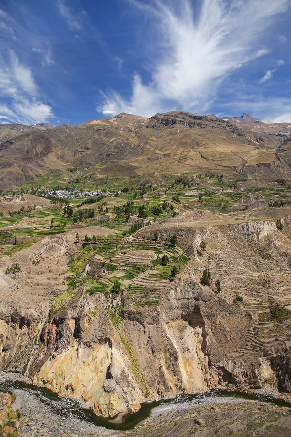 View of Colca Canyon in Peru Stock Image - Image of agricultural ...