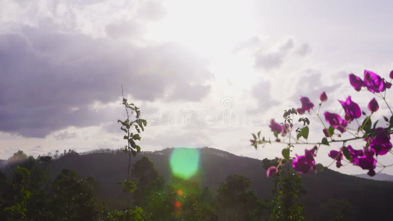 View of Colorful Dramatic Sky Sunset or Sunrise Stock Video - Video of ...