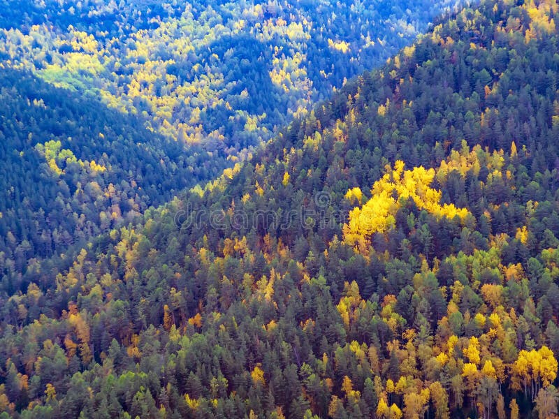 View of Colorful Mountains Trees in the Forest. Bright and Colorful ...