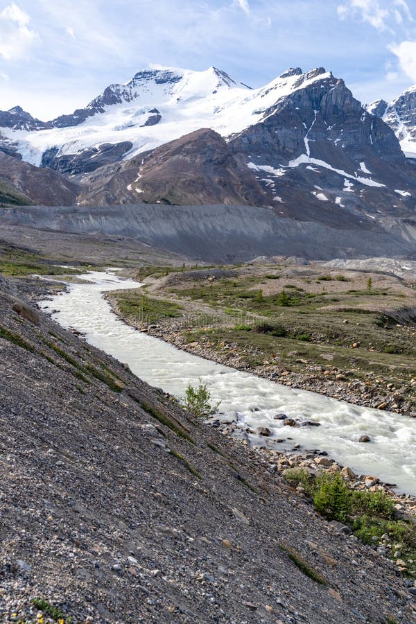 View of the Columbia Icefield Glaciers from the Icefields Parkway in ...