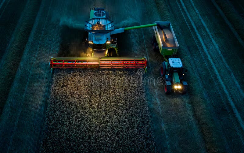 View of Combine Harvester are Harvesting Wheat and Loading Off Corn ...