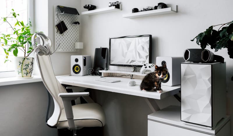 View Comfortable Home Office Workplace of Creator with Little Fluffy ...
