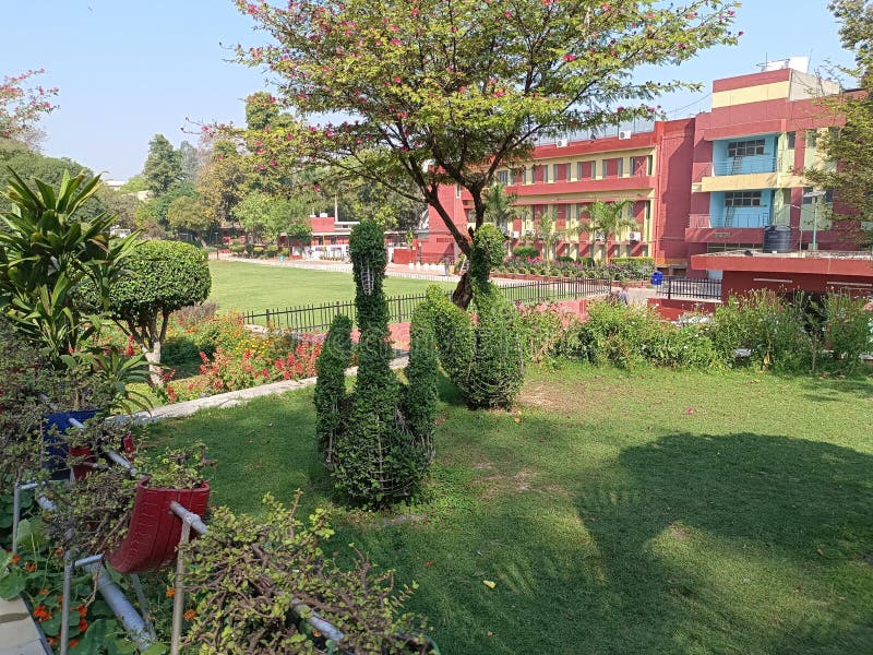 View Complex Lot Plants Trees Stock Photos - Free & Royalty-Free Stock ...