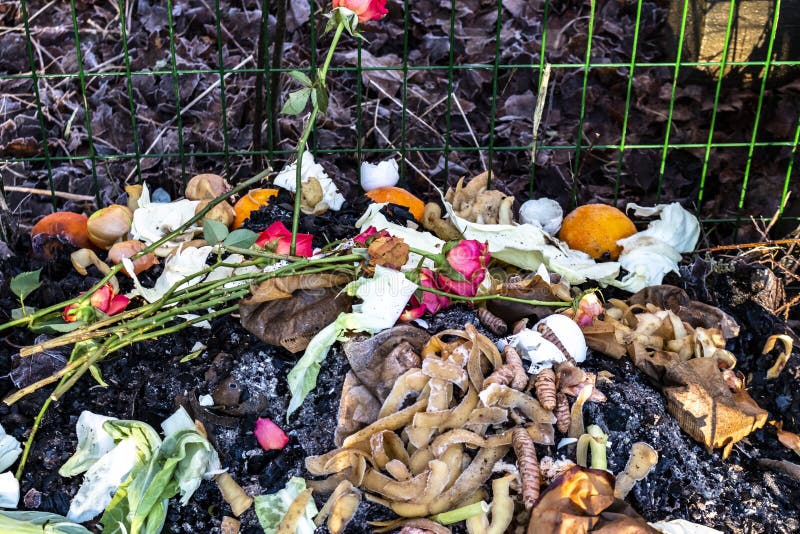 View into a Compost Bin with Different Compostable Waste Stock Image ...
