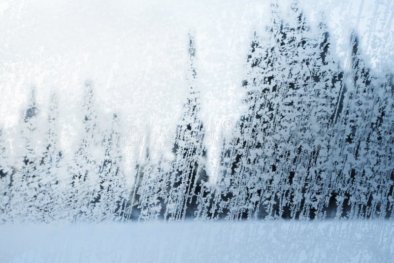 View of Coniferous Forest Trees through a Winter Frozen Window Stock ...
