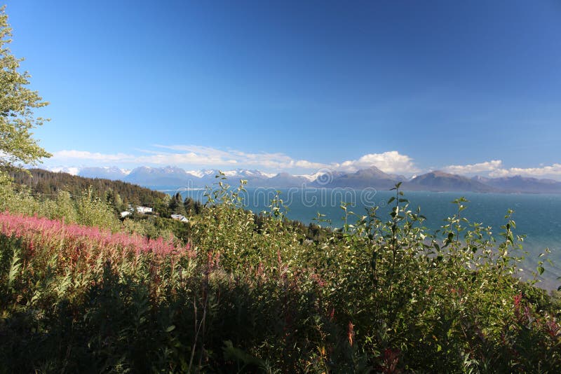 View Of The Cook Inlet - Alaska In The Background Of Mount Iliamna ...