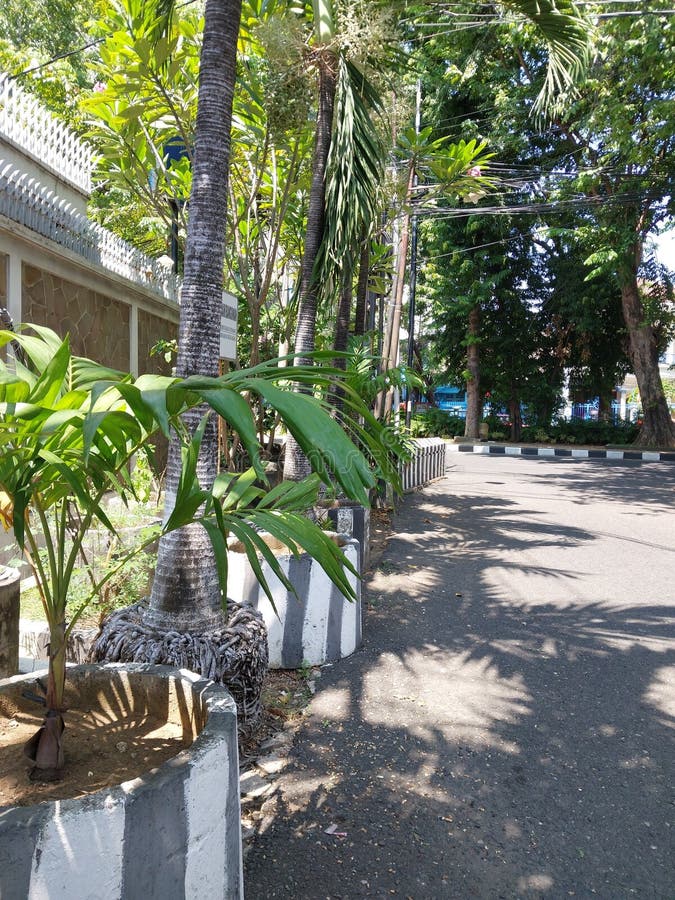 View at the Corner of the City with Shady Trees Stock Photo - Image of ...