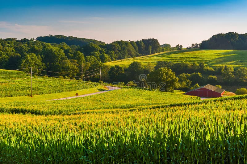 View of Cornfields and a Barn in Rural York County, Pennsylvania Stock ...