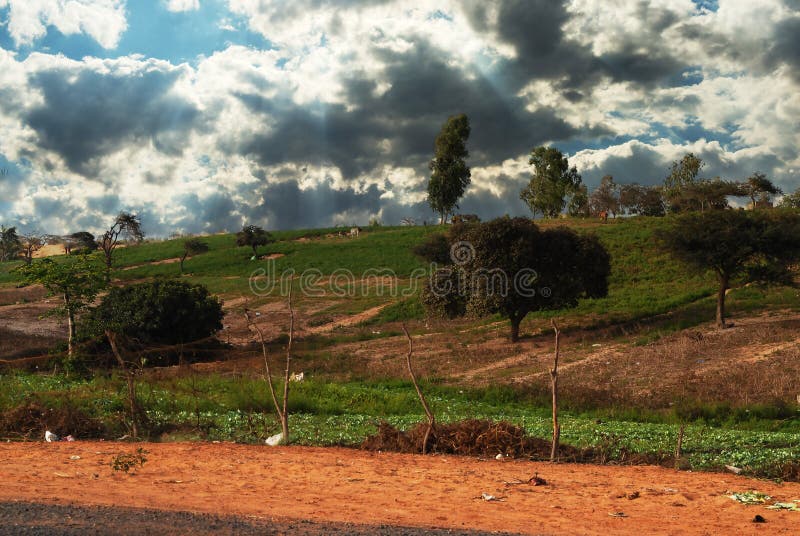 235 Senegal Agriculture Stock Photos - Free & Royalty-Free Stock Photos ...