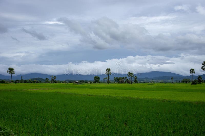 View of the Countryside in the Valley, Thailand Stock Photo - Image of ...