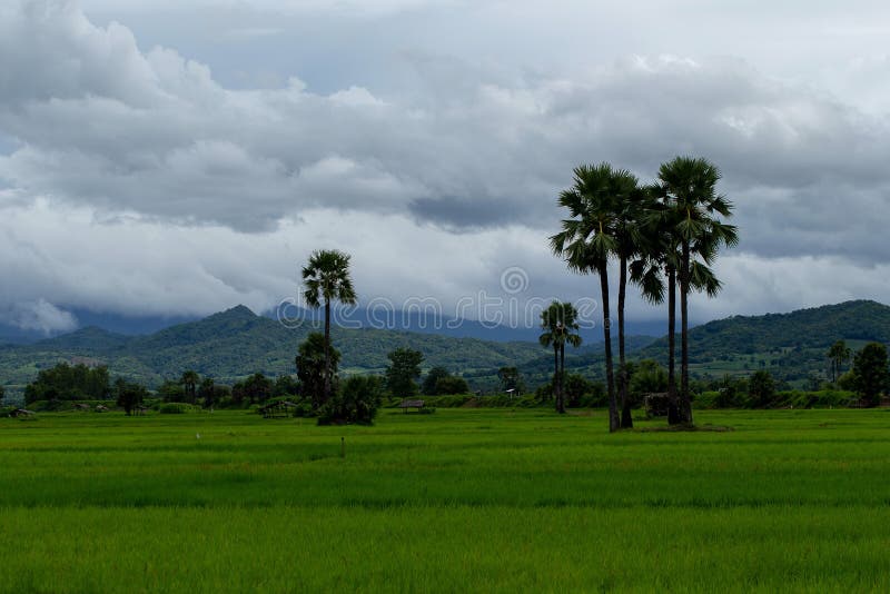 View of the Countryside in the Valley, Thailand Stock Photo - Image of ...