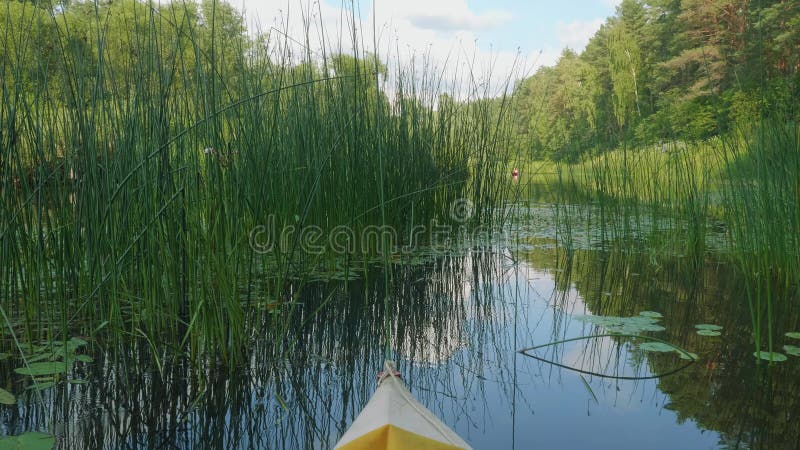 View of Couple in Canoe Drafting on River Vorya through Thick Greenery ...