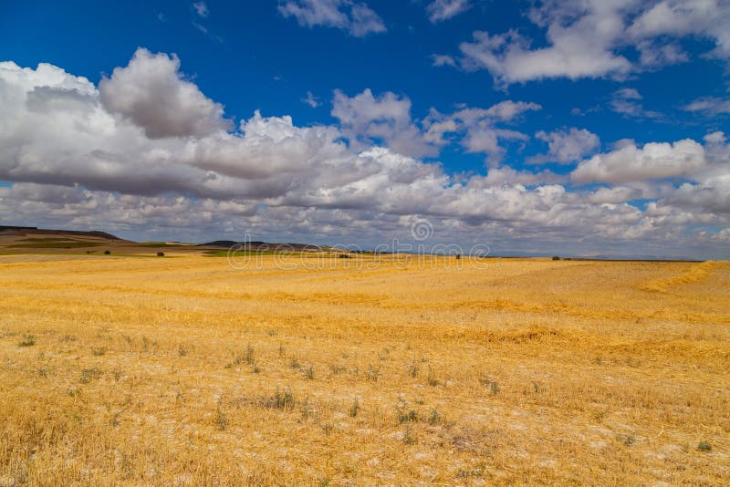 View of a Crop Field in Spain Stock Image - Image of countryside ...