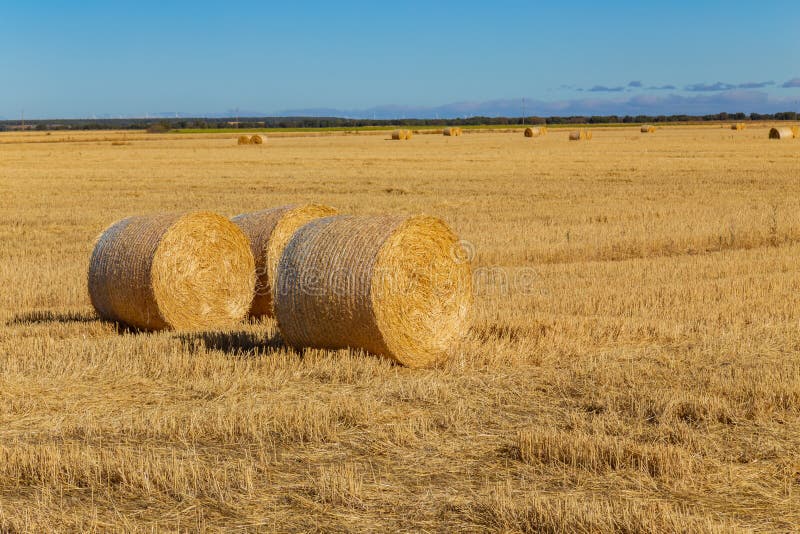 View of a Crop Field in Spain Stock Photo - Image of field, extensive ...