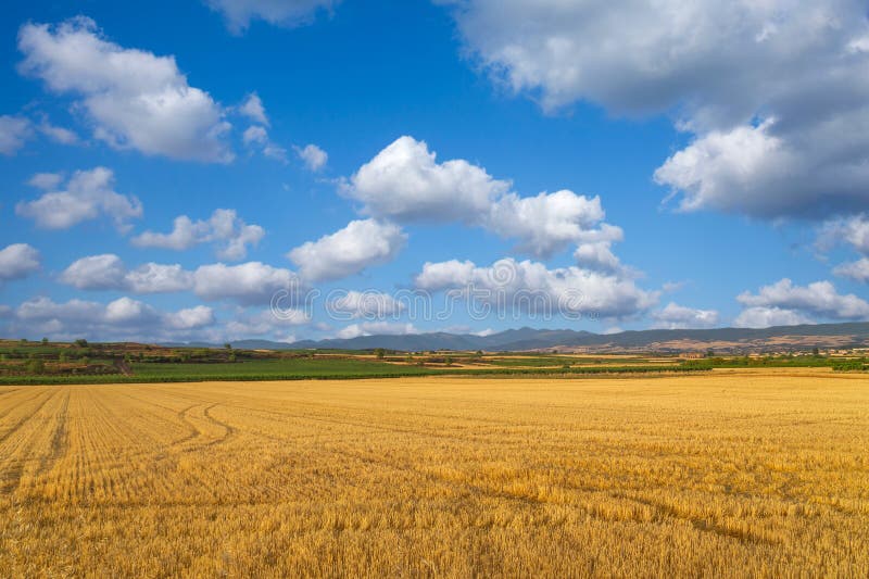View of a Crop Field in Spain Stock Image - Image of hill, mancha ...