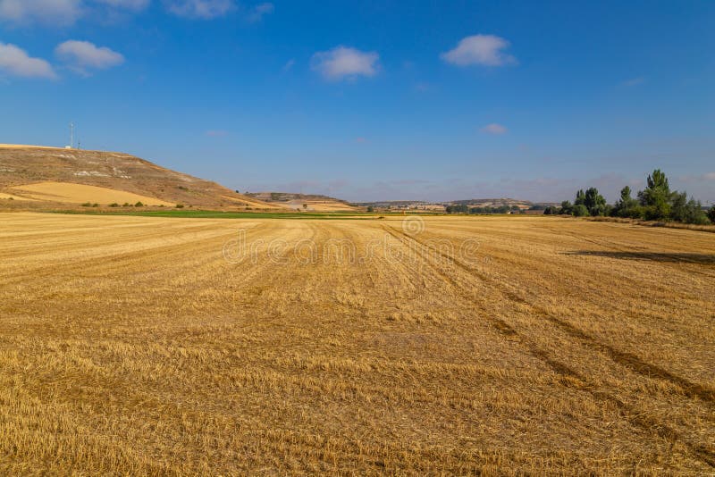 View of a Crop Field in Spain Stock Photo - Image of cropland, plain ...