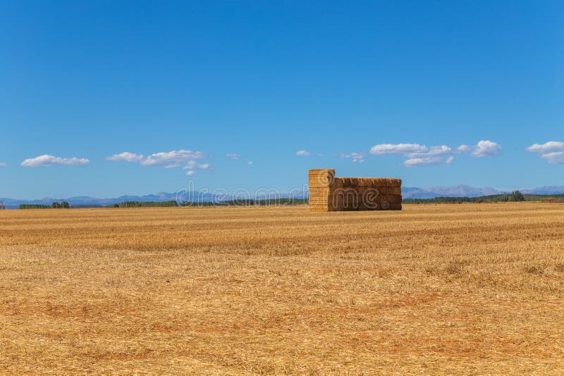 View of a Crop Field in Spain Stock Image - Image of countryside ...