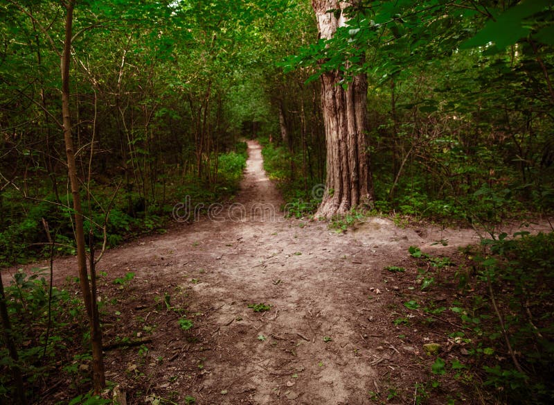 Top View of Crossroad with Cars in a Small City. Stock Photo - Image of ...