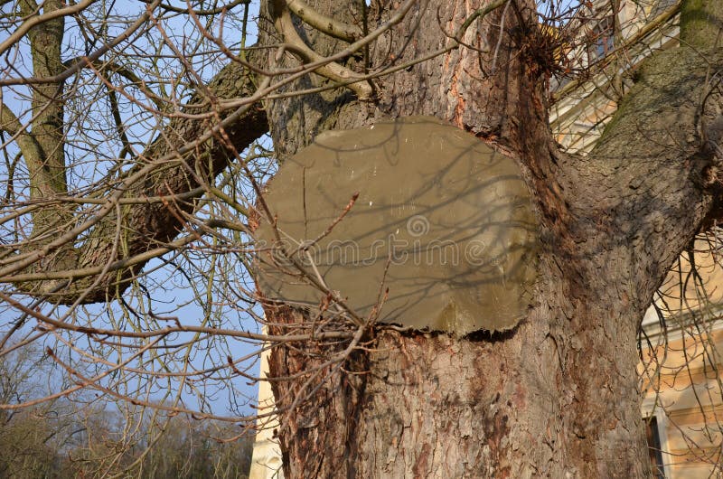 View into the Cavity Under a Frozen Puddle Stock Image - Image of ...