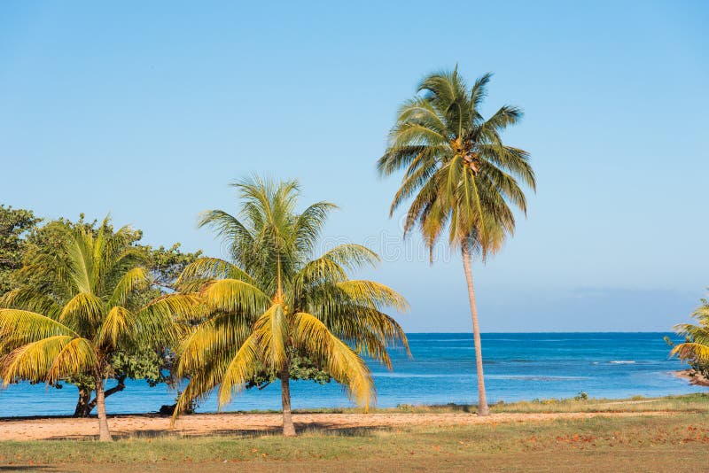 View of the Cuban Landscape, Cuba, Havana. Copy Space for Text. Stock ...