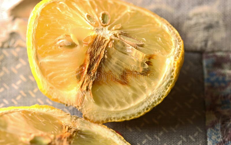Cut Bad Lemon Displaying Rust Colored Changes. Stock Image - Image of ...