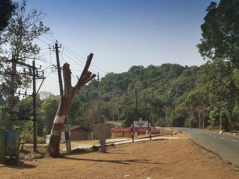 View of Dandeli Forest and Road Passing through the Trees of Dandeli ...